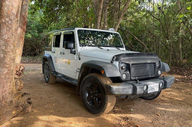 Fajardo Ceiba Ferry Marina Taxi to San Juan Taxi Transportation - Pricing and Value Analysis