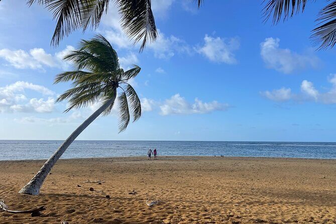 Fajardo Ceiba Ferry Marina Taxi to San Juan Taxi Transportation - The Itinerary in Detail