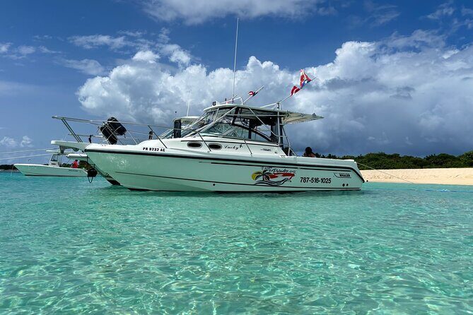 Fajardo to Culebra Charter Tour, Snorkeling and Beach Day - Price and Value