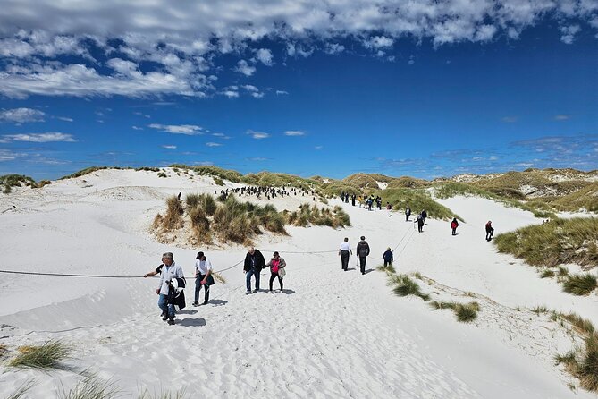 Falkland Islands Shared Tour With Penguins Sightseeing - Guided Experience and Traveler Feedback