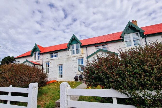 Falkland Islands Shared Tour With Penguins Sightseeing - Positive Customer Experiences