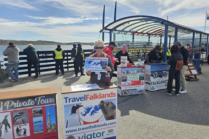 Falkland Islands Shared Tour With Penguins Sightseeing - Navigating Potential Challenges