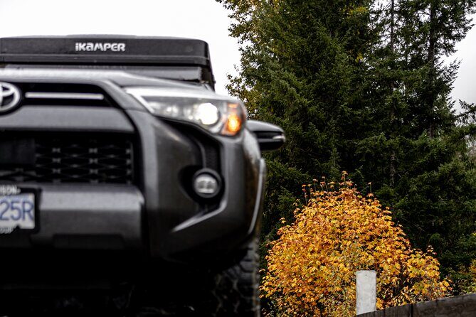 Fall Adventure Vancouver Island Grizzly Bears, High Tea and More - The Value of this Tour