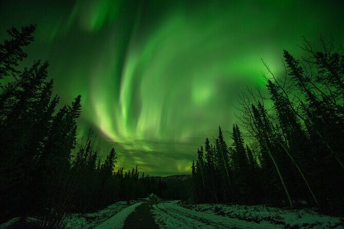 Fall Aurora Mushing Cart Ride Bucket List Adventure - Key Points