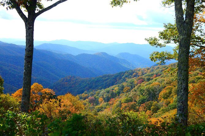 Fall Color Tour in the Smoky Mountains - Who Should Consider This Tour?