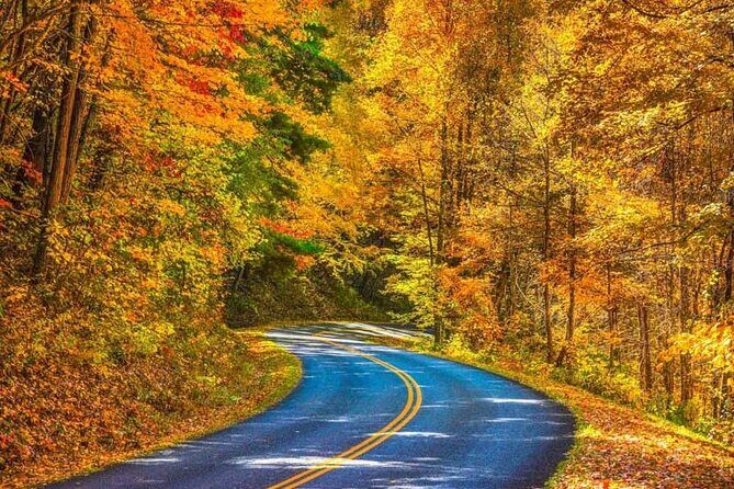 Fall Foliage Tour - An In-Depth Look at the Fall Foliage Tour