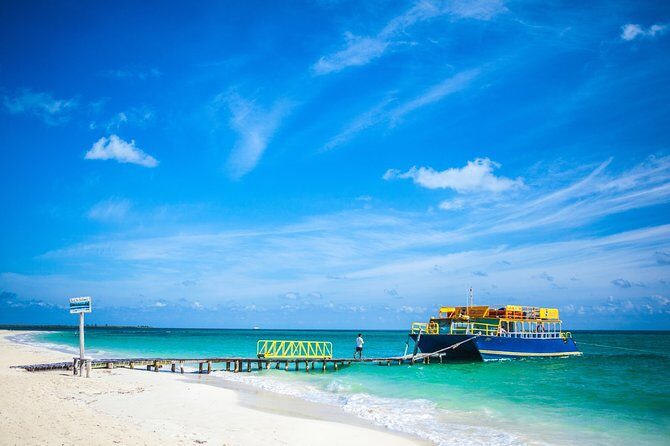 Fall in love with the Holbox island tour, Punta Mosquito & lunch. - Practical Tips and Considerations