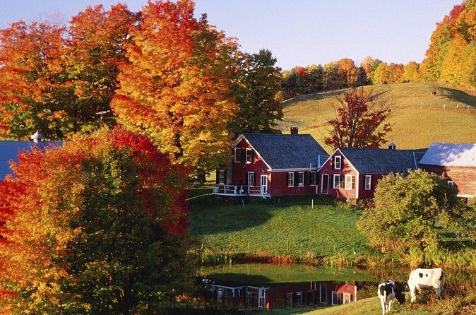 Fall Season, Vermont Maple Fall Foliage 2-Day Tour from New York - Who Is This Tour Best For?