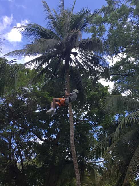 Falmouth: Dunn's River Falls, Blue Hole, and Zipline Tour - A Closer Look at the Tour Experience