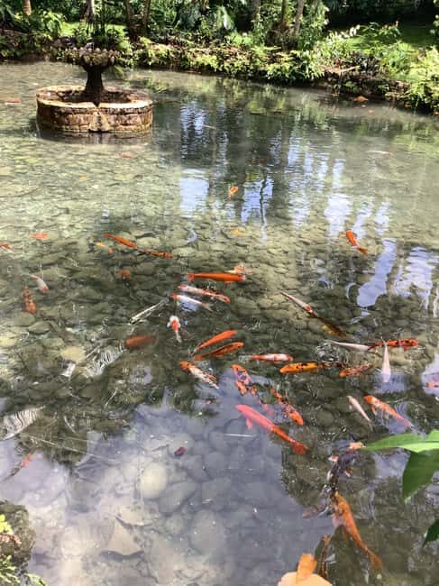 Falmouth: Konoko Falls and White River Tubing Day Tour - Key Points