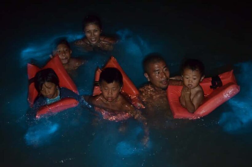 Falmouth: Luminous Lagoon Boat Tour - Why This Tour Holds Value