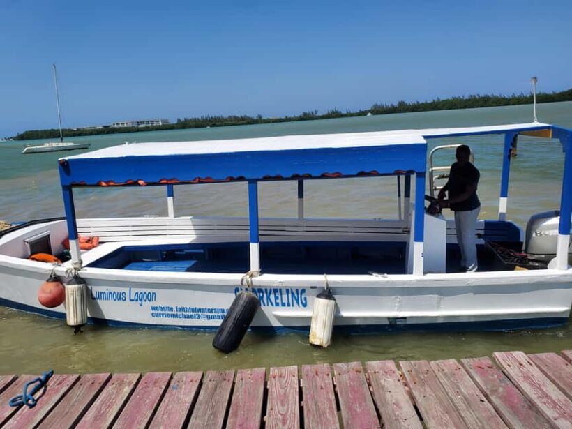 Falmouth: Luminous Lagoon Boat Tour - The Sum Up