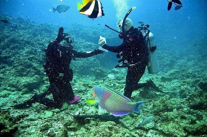 Falmouth Shore Excursion: 2-Tank Certified Scuba Diving Tour - FAQs