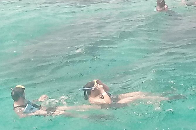 Falmouth Shore Excursion: Private Snorkel Tour - Who Will Love This Tour?