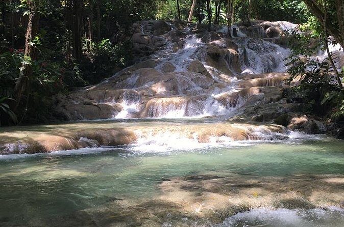 Falmouth to Bob Marley Nine Miles and Dunns River Falls Tour - Who This Tour Is Best For