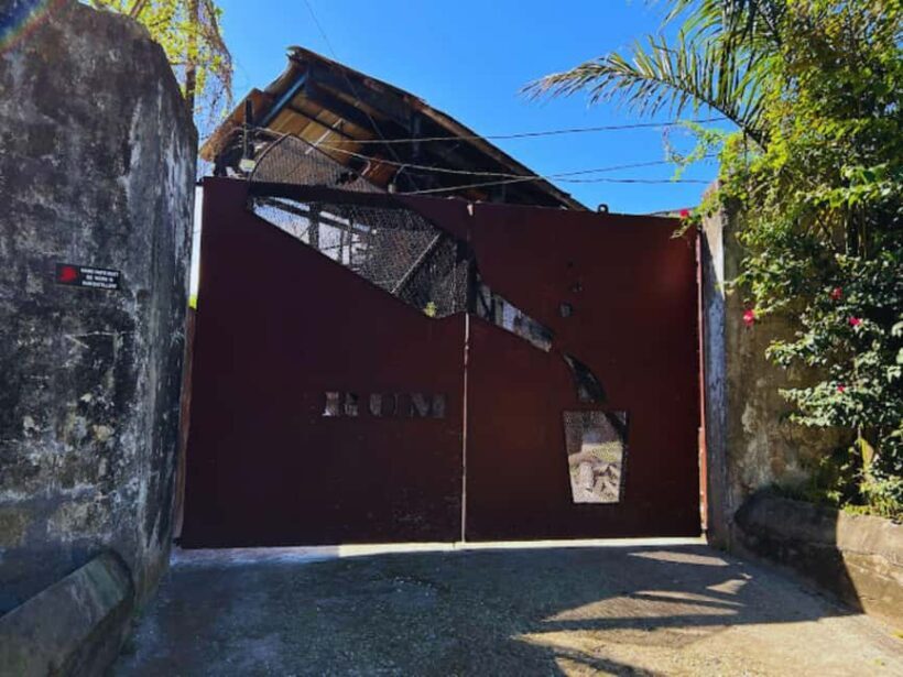 Falmouth Tour: Hampden Estate Rum Tasting Tour - Key Points