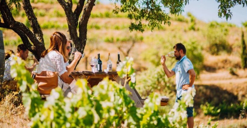 Falset: Guided Wine Tour to the Priorat by a Local - Who Will Love This Tour?