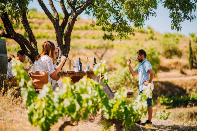 Falset: Guided Wine Tour to the Priorat by a Local - Final Thoughts
