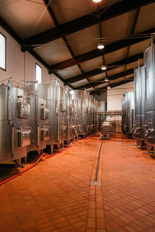 FAMIGLIA COTARELLA, NEAR ORVIETO WINE TASTE AND VISIT - Key Points