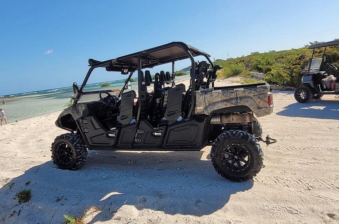 Family Adventure Buggy - Who Will Love This Tour?