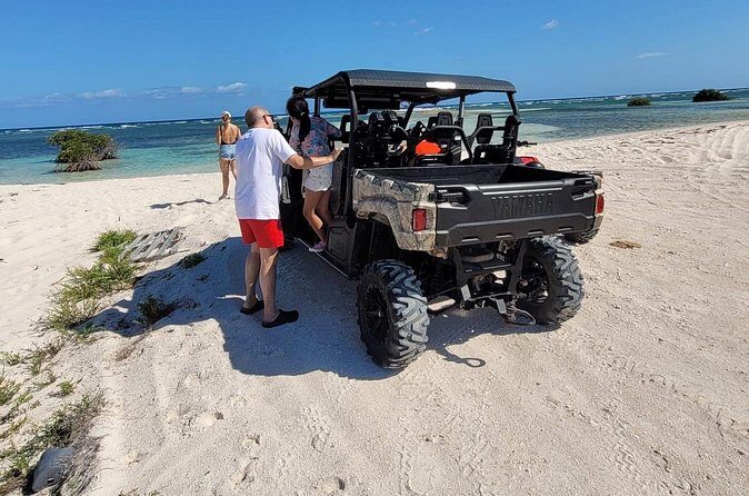 Family Adventure Buggy - Final Thoughts