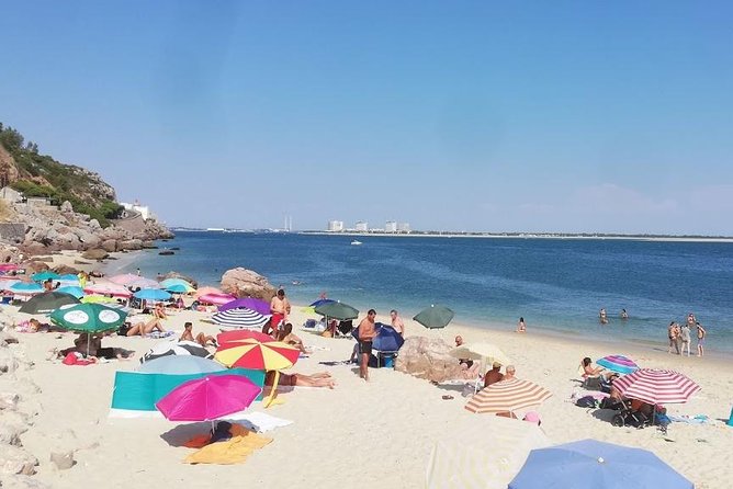 Family Beach day in Region of Lisbon - Setúbal - Detailed Breakdown of the Experience