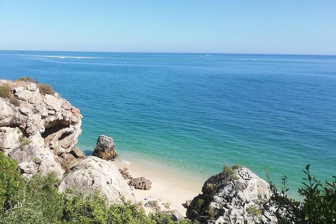 Family Beach day in Region of Lisbon - Setúbal - Who Should Consider This Tour?