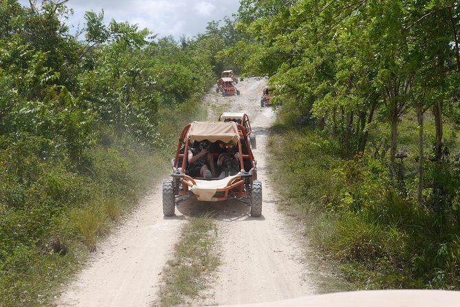 Family Buggy Adventure in Punta Cana - What’s Included and What’s Not