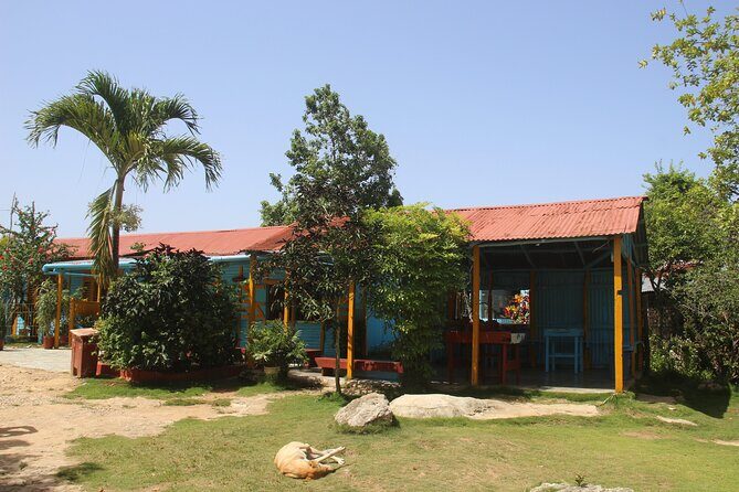 Family Buggy Adventure in Punta Cana - Final Thoughts