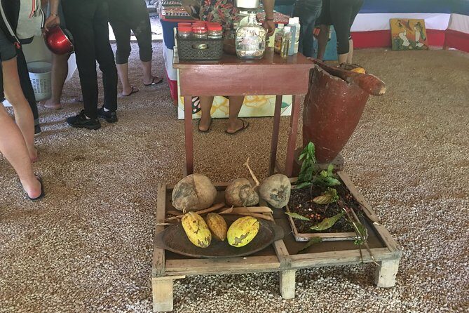 Family, Buggy Adventures, Tours, Macao Beach. Lowest Price. - What to Expect from the Itinerary