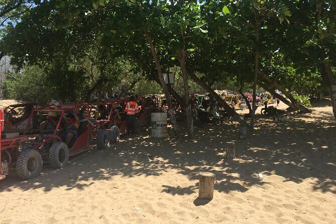 Family, Buggy Adventures, Tours, Macao Beach. Lowest Price. - Price Point and Value