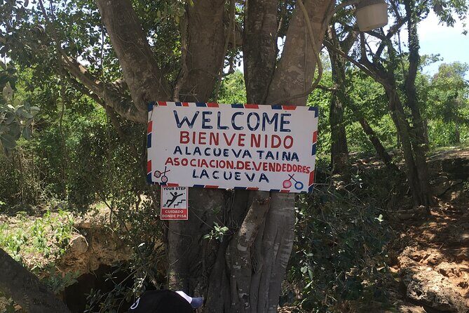 Family, Buggy Adventures, Tours, Macao Beach. Lowest Price. - Practical Considerations