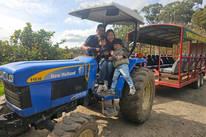 Family Day in the Yarra Valley Private Experience - An In-Depth Look at the Itinerary