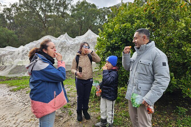 Family Day in the Yarra Valley Private Experience - Practicalities and Logistics