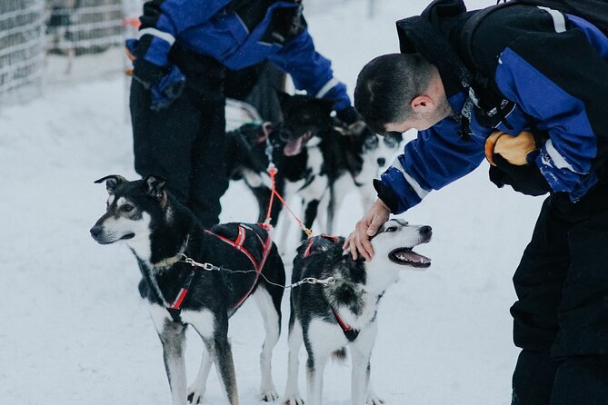 Family Day: Reindeer, Husky and Snowmobiling in Levi - Meeting and Pickup Information