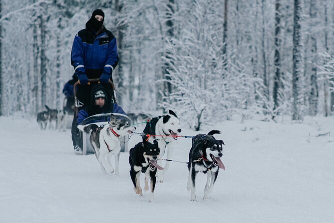 Family Day: Reindeer, Husky and Snowmobiling in Levi - Safety Guidelines for Participants