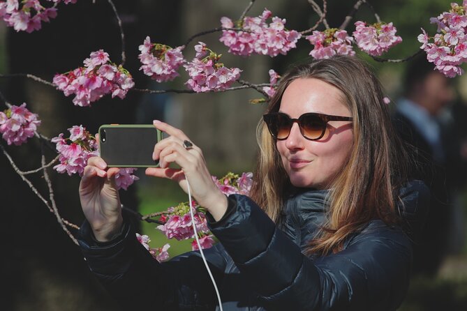 Family-Friendly Customizable Tokyo Tour With a Licenced Guide - Tour Overview