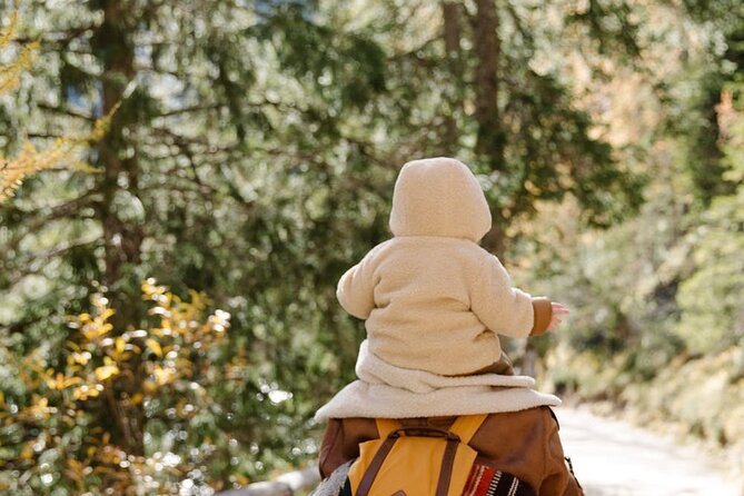 Family-Friendly Nature Hike around the Big Bear Valley - Who Should Consider This Tour?