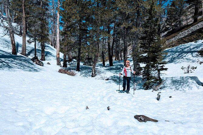 Family-Friendly Nature Hike around the Big Bear Valley - FAQs