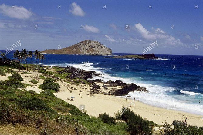 Family-Friendly Private Circle Island Tour of Oahu - Authentic Insights from Travelers
