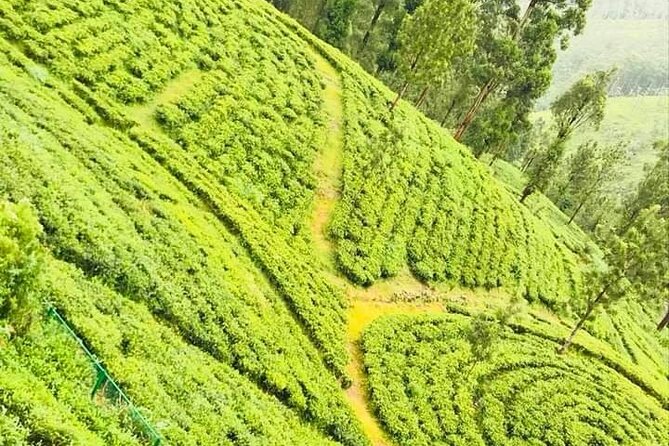 Family-Friendly Private Galle City Tour - FAQ