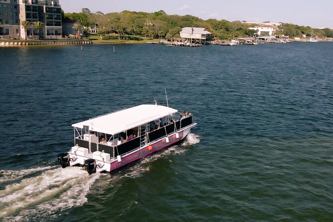 Family Friendly Snorkeling and Dolphin Tour - Key Points