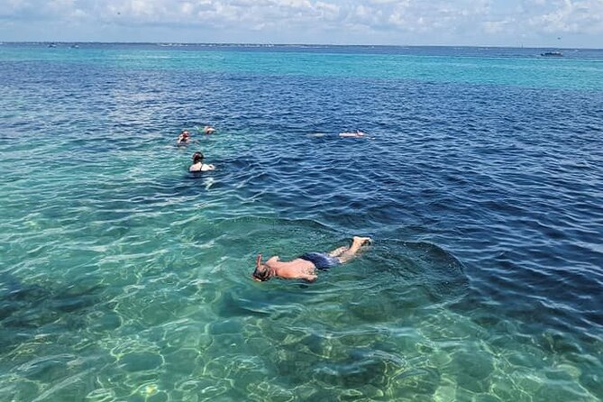 Family Friendly Snorkeling and Dolphin Tour - Who Should Consider This Tour?