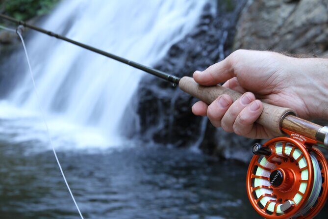 Family Fun Private Half Day Fly Fishing Adventure - An Overview of the Experience