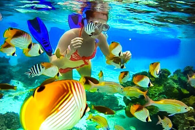Family Fun-Snorkeling with Lunch Stop from Montego Bay - A Close Look at the Experience