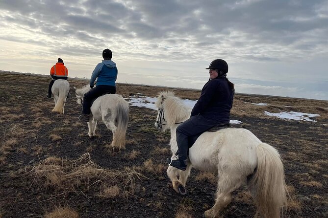 Family Horse Riding Tour in Thorlakshofn - Booking Process and Cancellation Policy
