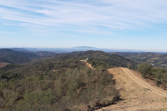 Family Jeep Safari up to 6 PAX - Authentic Reviews and Real Travelers’ Experiences