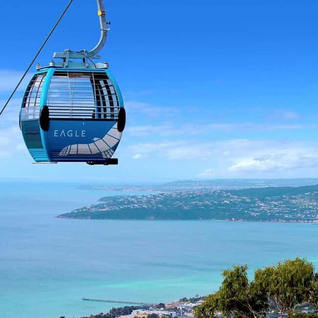 Family Lunch and Arthurs Seat Eagle for 2 Adults and 2 kids - Key Points