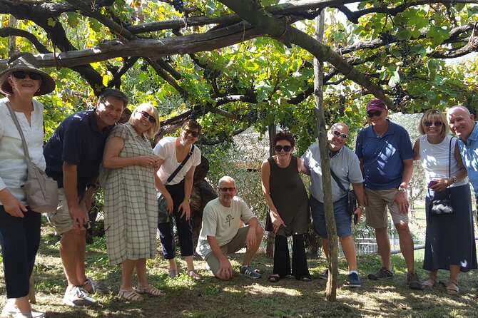 Family or friends Transportation Service for the Experiences - Practical Details