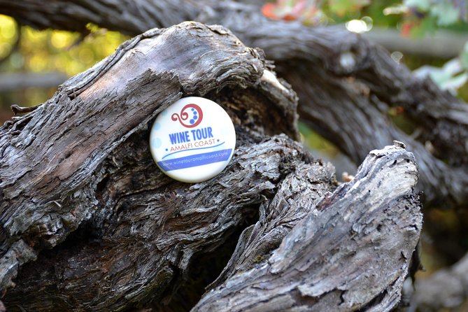 Family or friends Transportation Service for the Experiences - Who Will Love This?